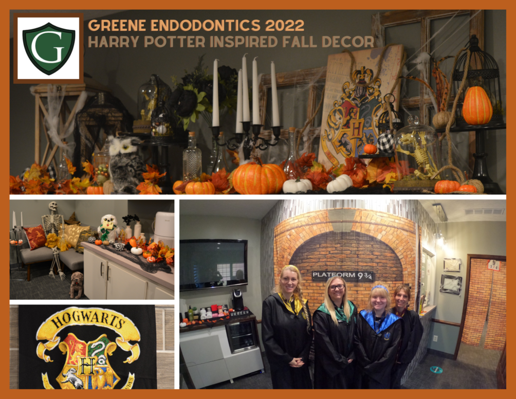 Halloween Decor at Greene Endodontics | Doctor Greene Endodontics